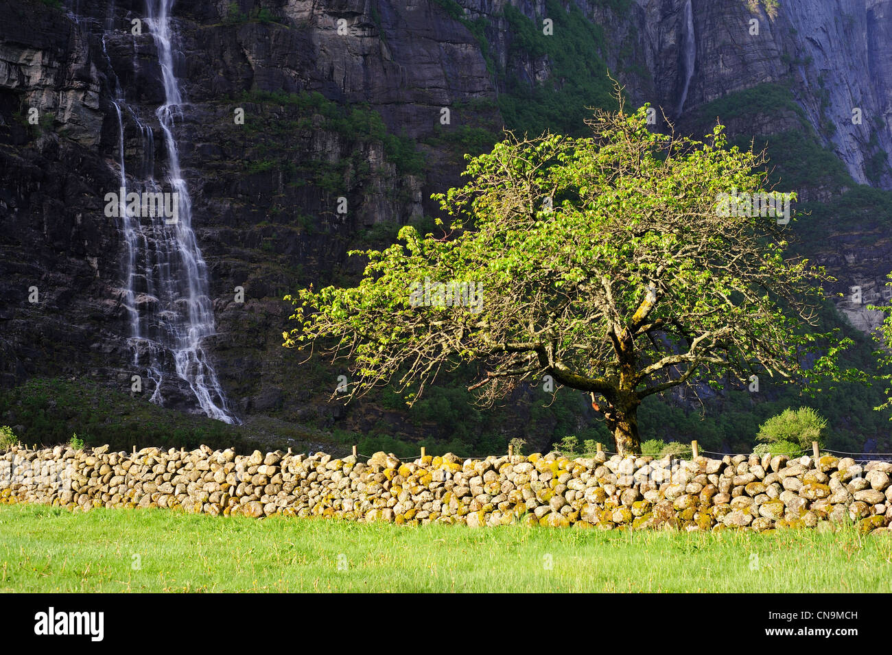 Norway, Rogaland County, Lysebotn, 1000 meter high waterfall on the ...
