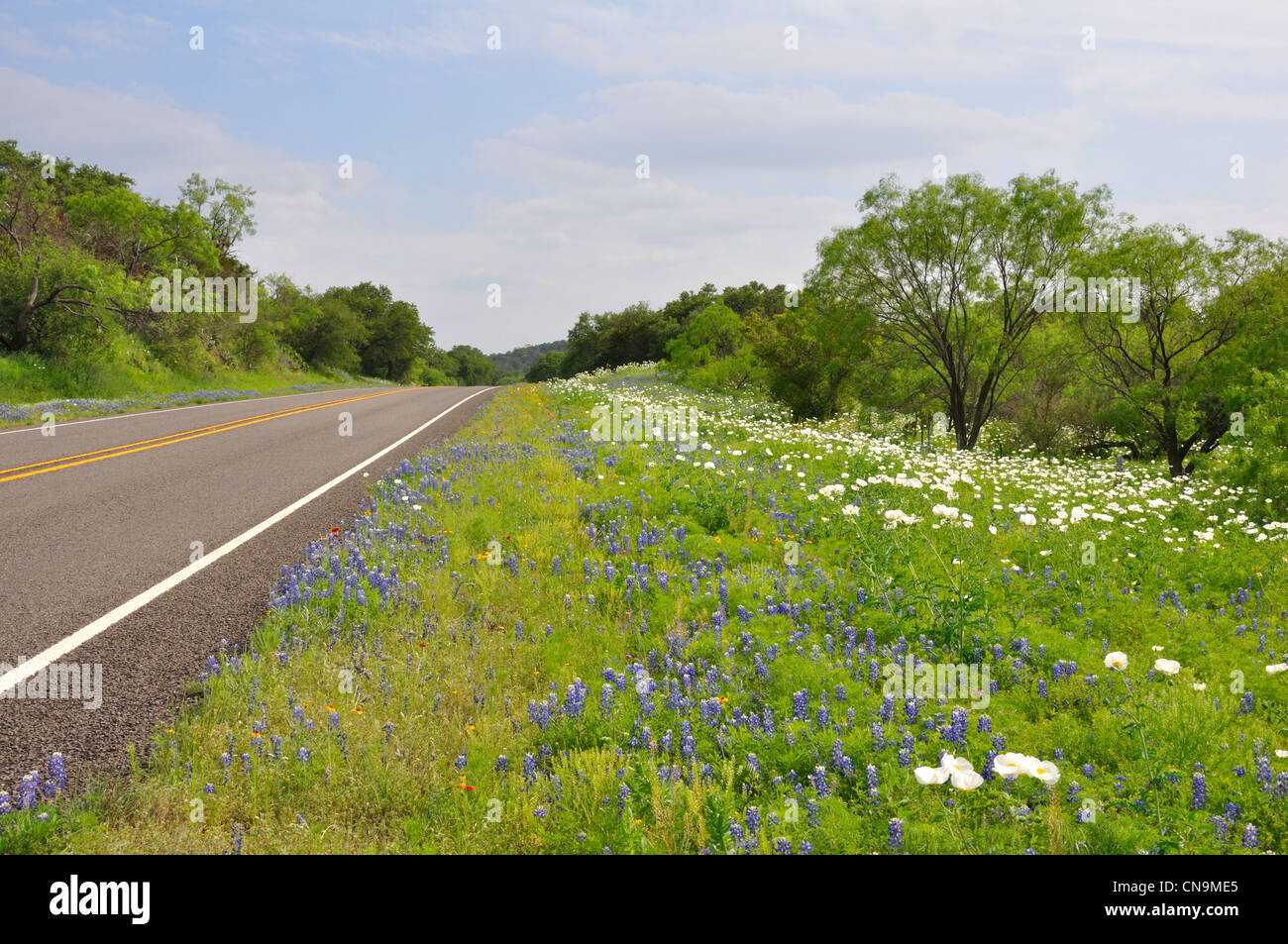 Scenic road and bluebonnets, Texas, USA Stock Photo - Alamy