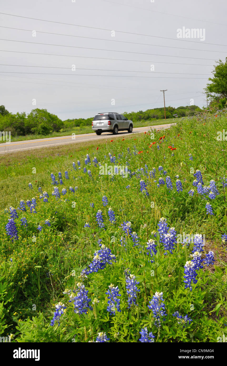 Scenic road and bluebonnets, Texas, USA Stock Photo - Alamy