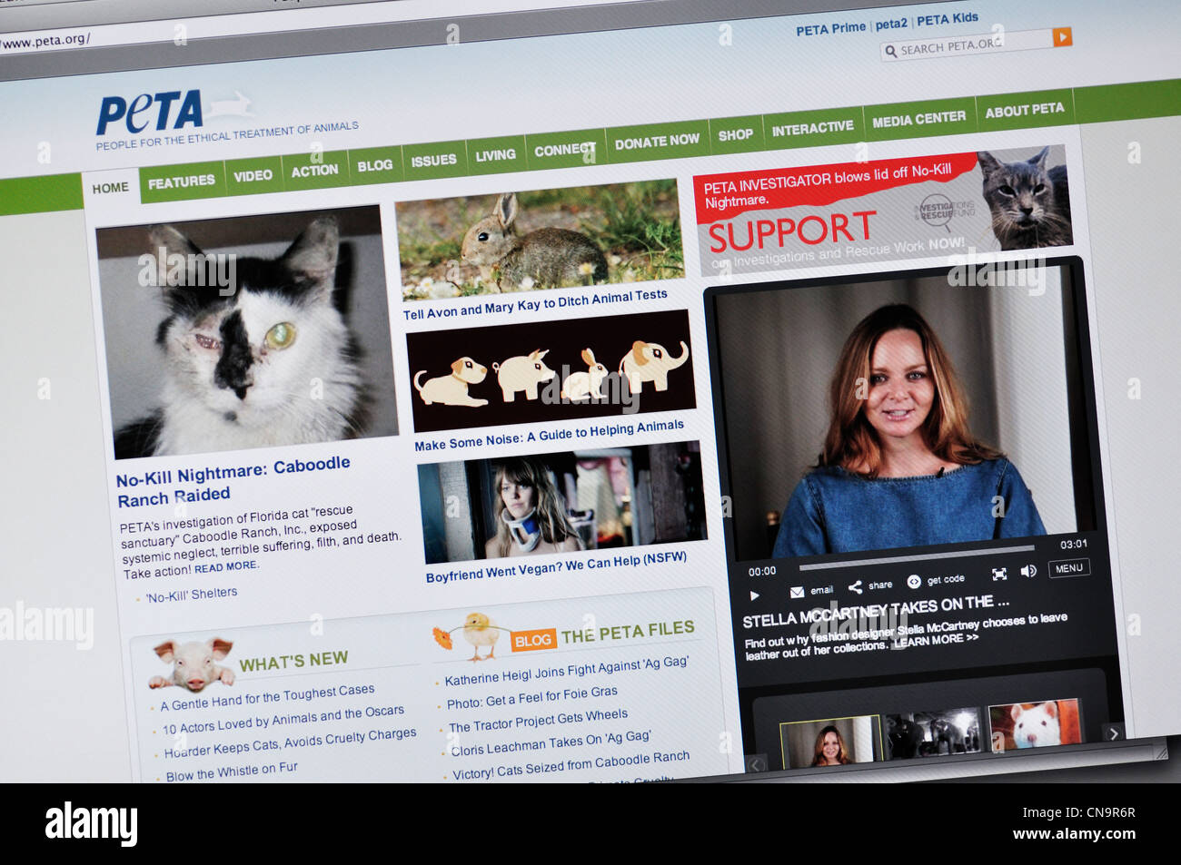 Peta Animal Rights website Stock Photo - Alamy