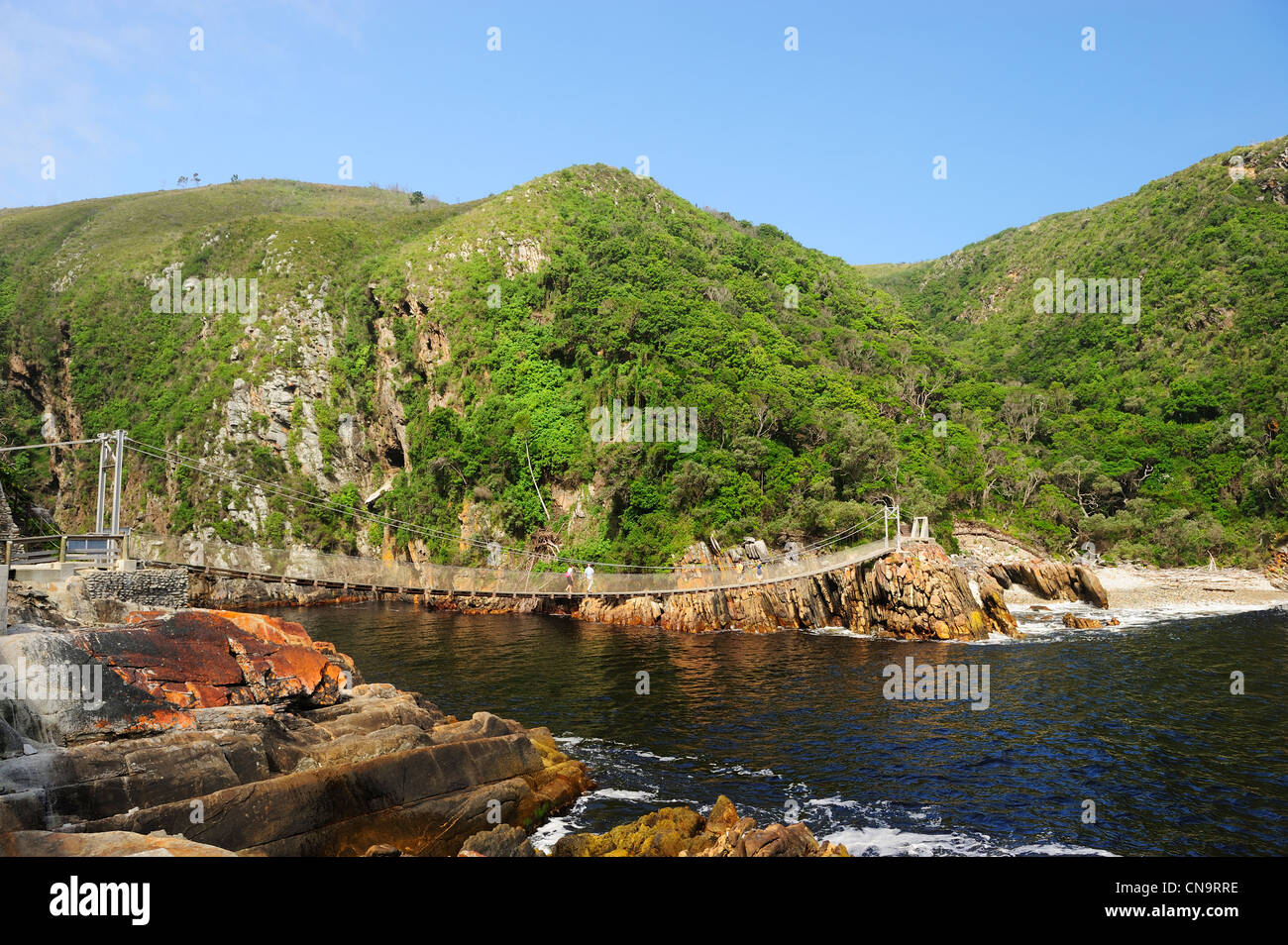 Suspension bridge tsitsikamma south africa hi-res stock photography and ...