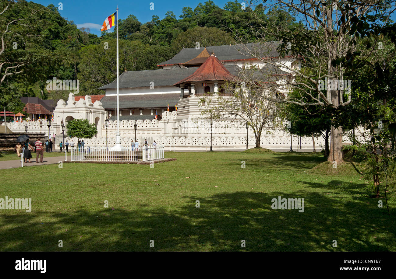 At temple trees colombo hi-res stock photography and images - Alamy