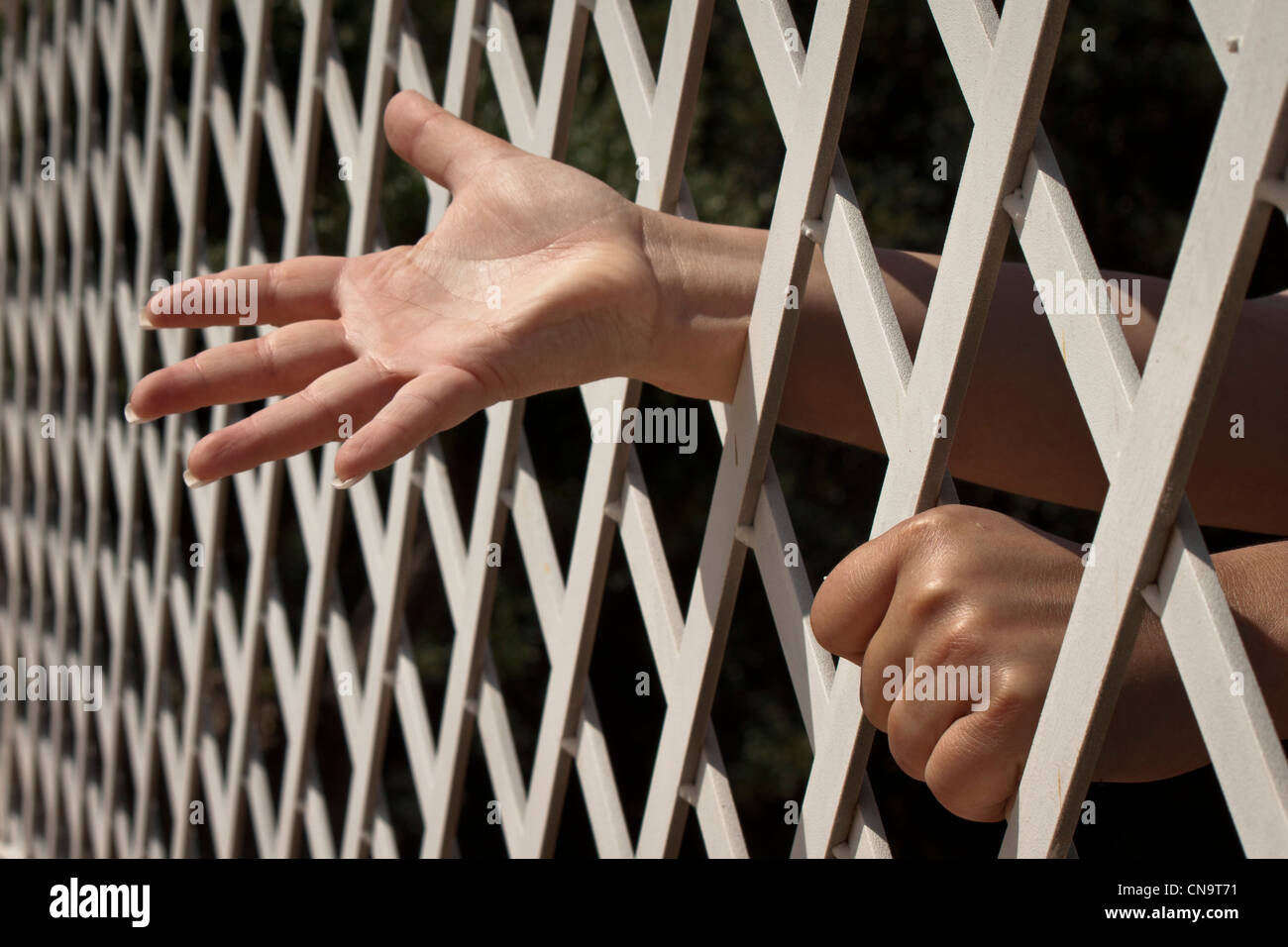 Trough hands hi-res stock photography and images - Alamy