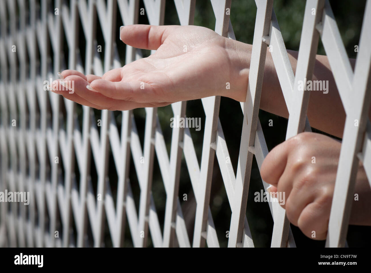 Begging trough bars Stock Photo - Alamy