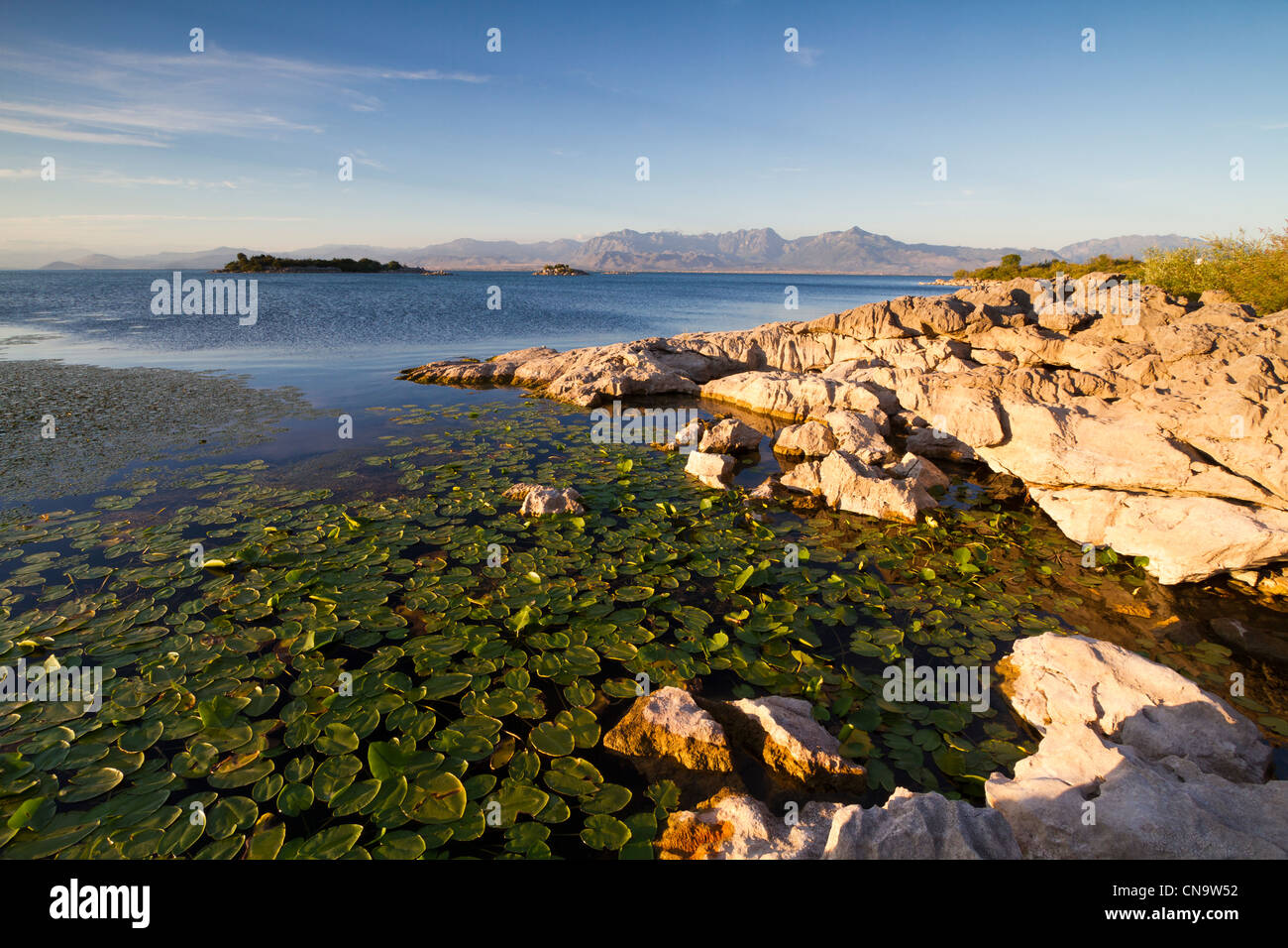 Montenegro, National Park Skadarsko Jezero, Lake Skadar, CKLA south ...
