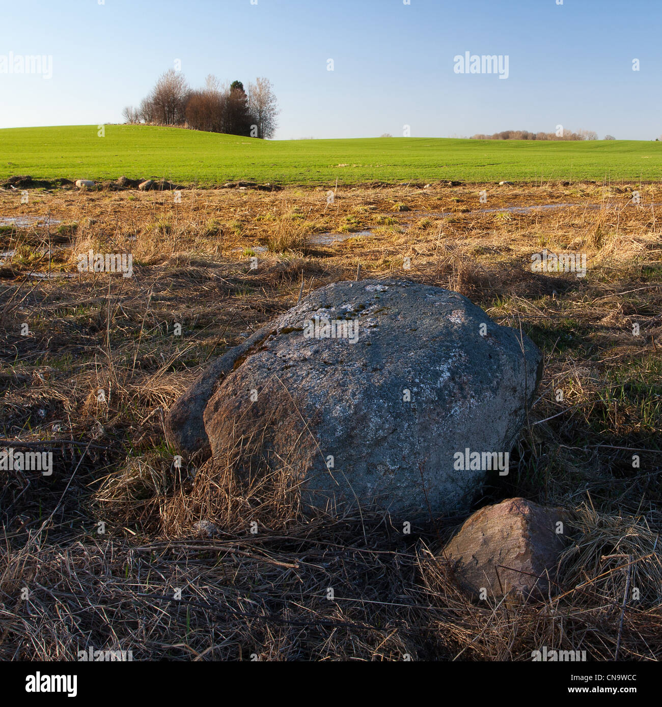 Group of stones on field Stock Photo - Alamy