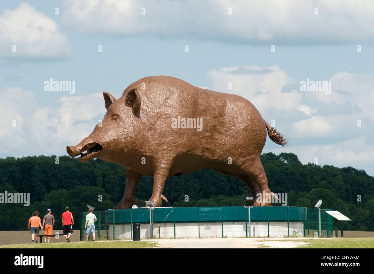 France, Ardennes, Saulces Monclin, Woinic is the biggest wild boar of ...