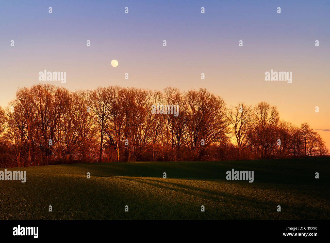 Full moon over field Stock Photo - Alamy