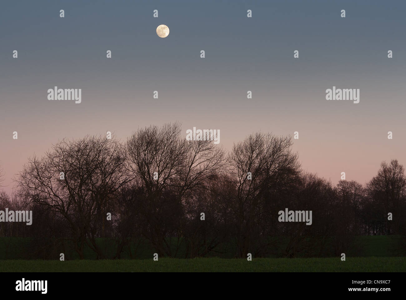 Full moon over field Stock Photo - Alamy