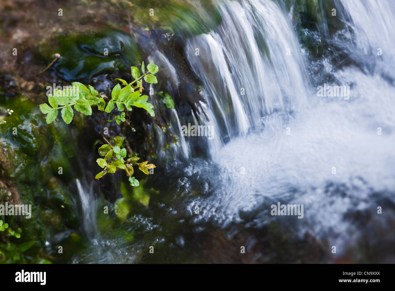 France, Dordogne, Saint Jean de Cole, Fish, crayfish and trout farm and ...