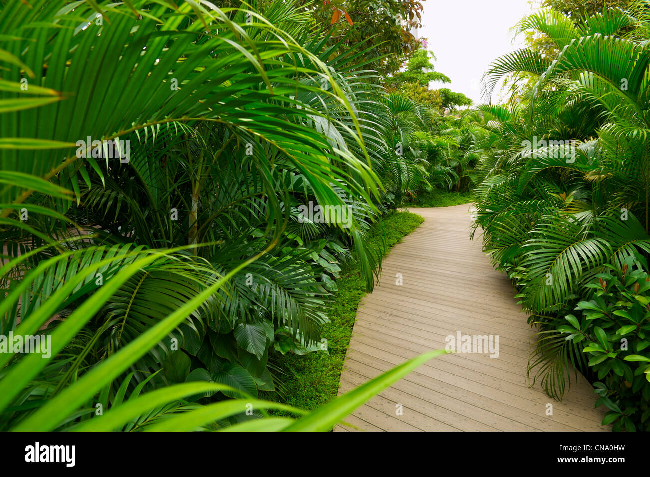 Sentosa walk hi-res stock photography and images - Alamy