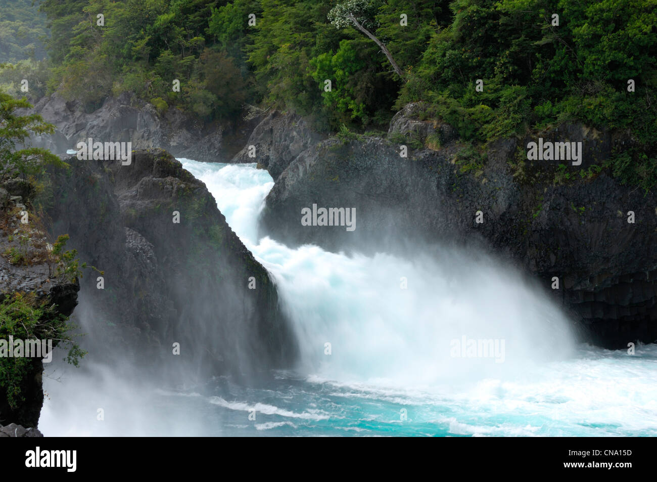Chile, Patagonia, Los Lagos region, Vicente Perez Rosales National Park ...