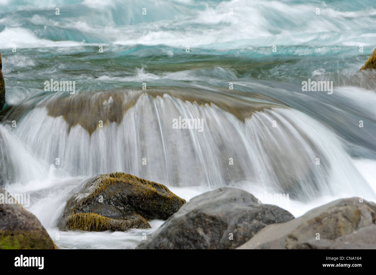 Chile, Patagonia, Los Lagos region, Vicente Perez Rosales National Park ...