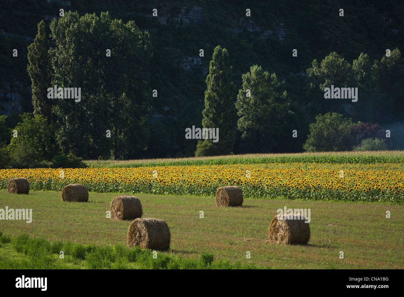 France, Lot, around Cajarc, Landscape of the Lot Valley Stock Photo - Alamy