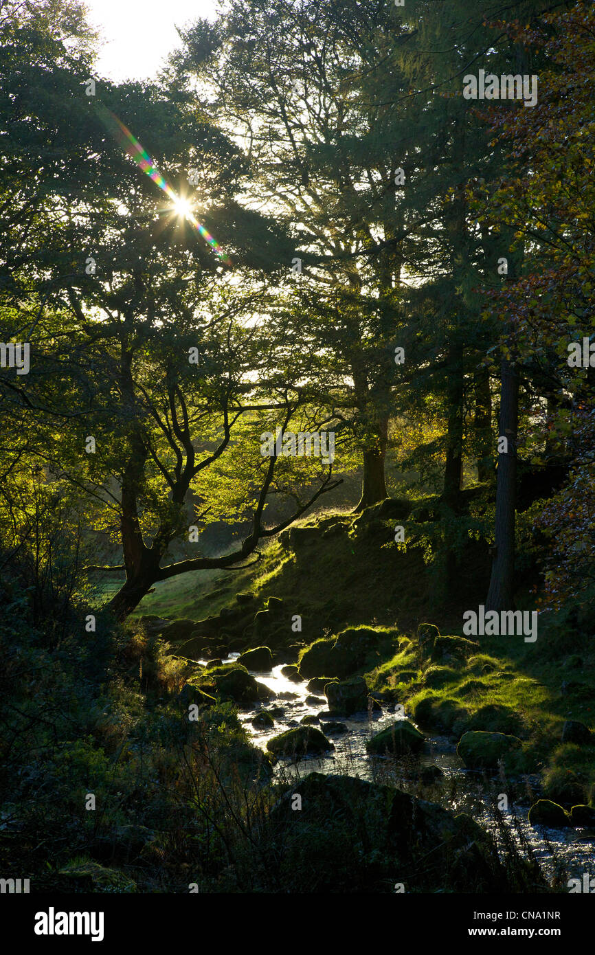 Llanrhaeadr ym mochnant hi-res stock photography and images - Alamy