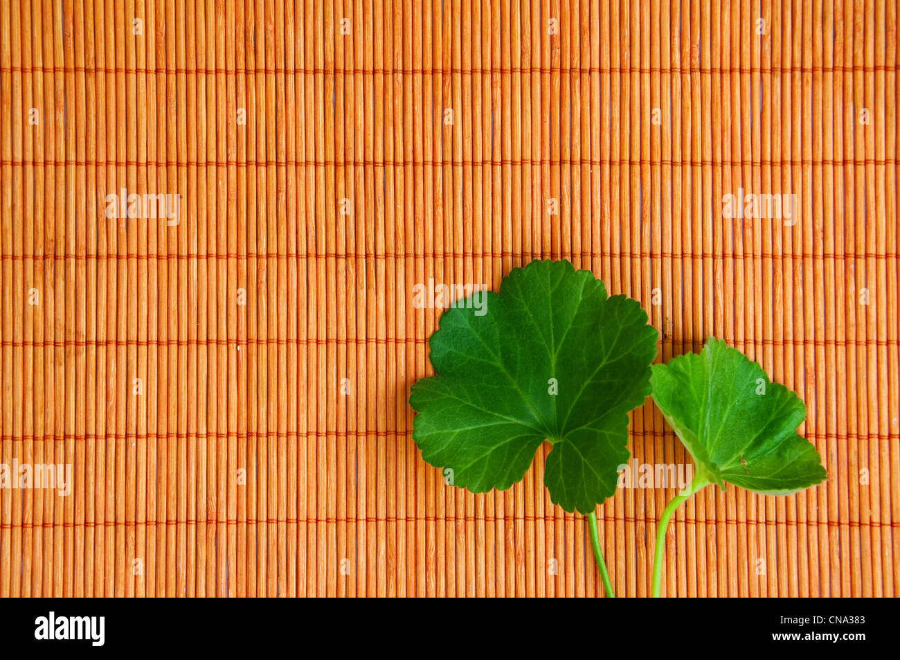 Matt pattern hi-res stock photography and images - Alamy