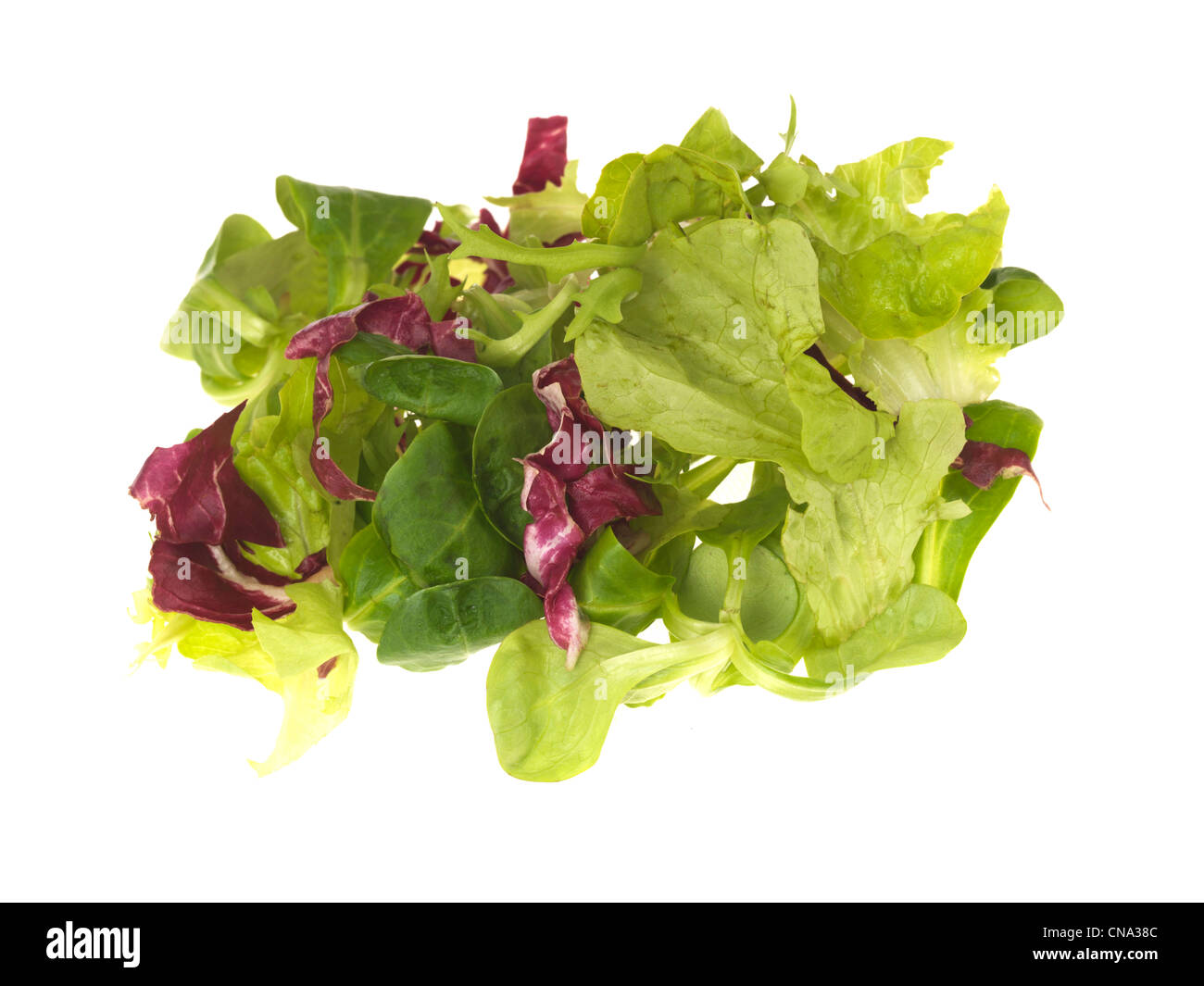 Handful of leaves hi-res stock photography and images - Alamy