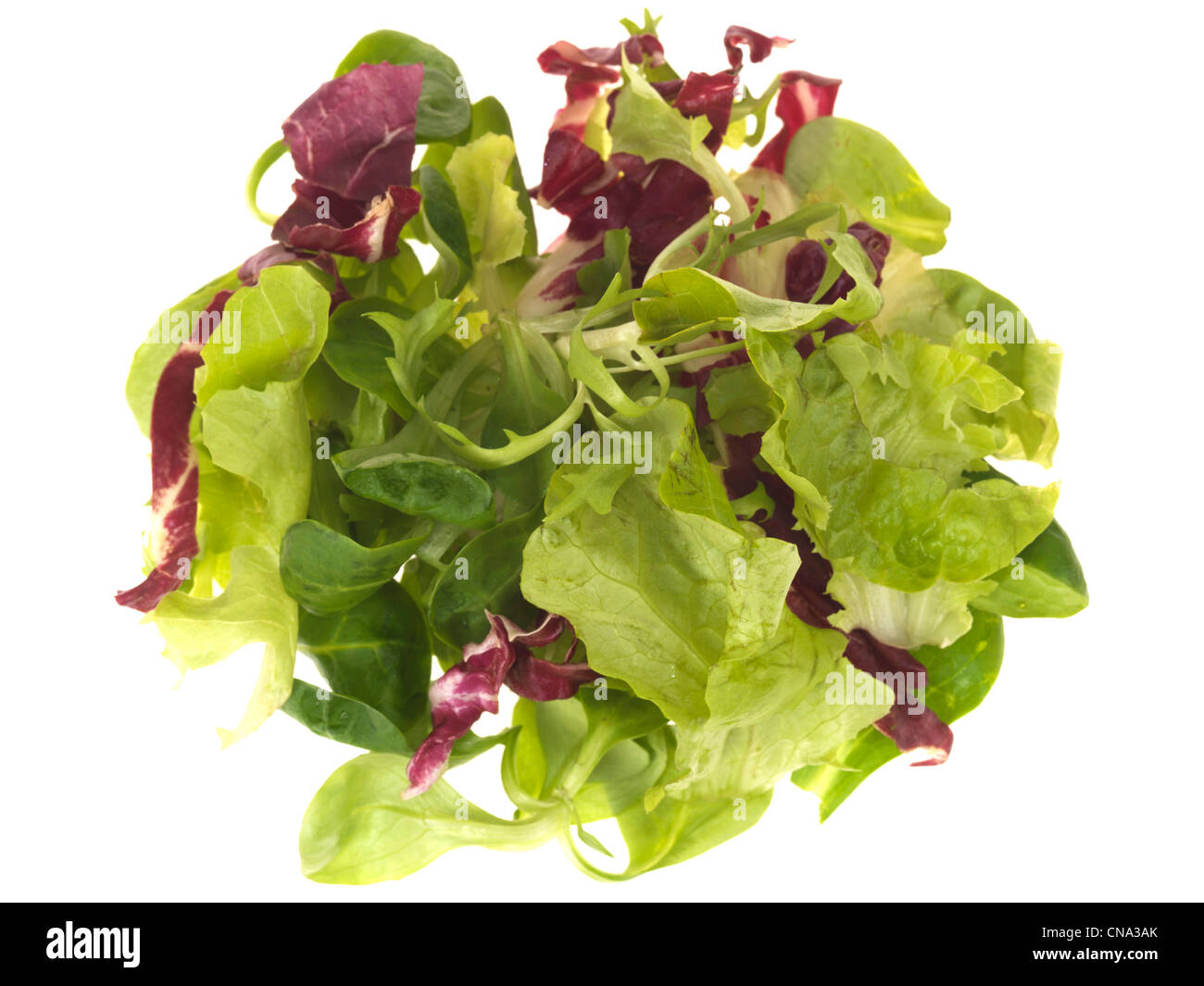 Lettuce Leaves In at Kellie Jackson blog