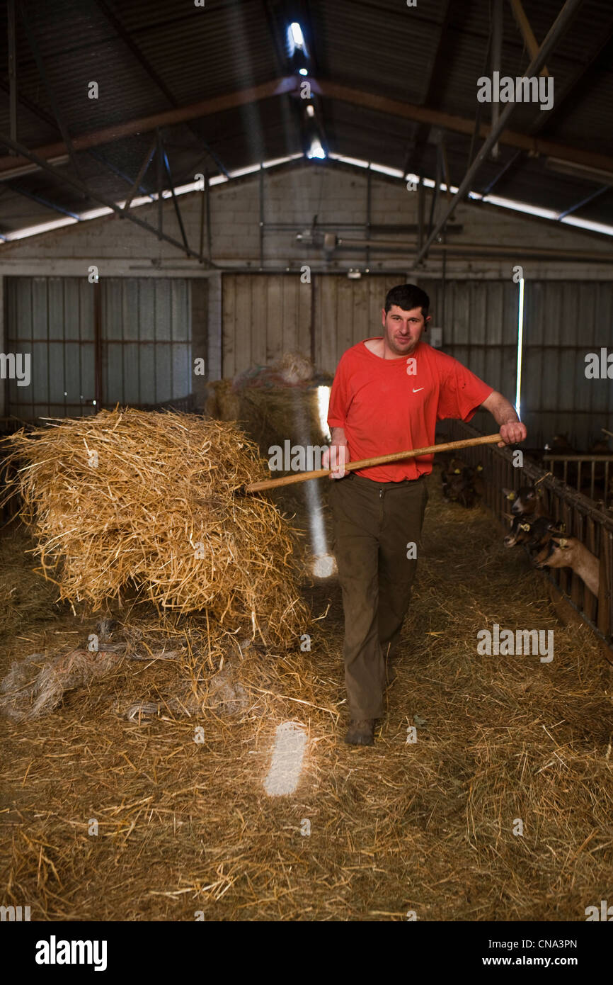 France, Lot, Loubressac, Jean Guy Cazal goat herder in his chêvererie ...