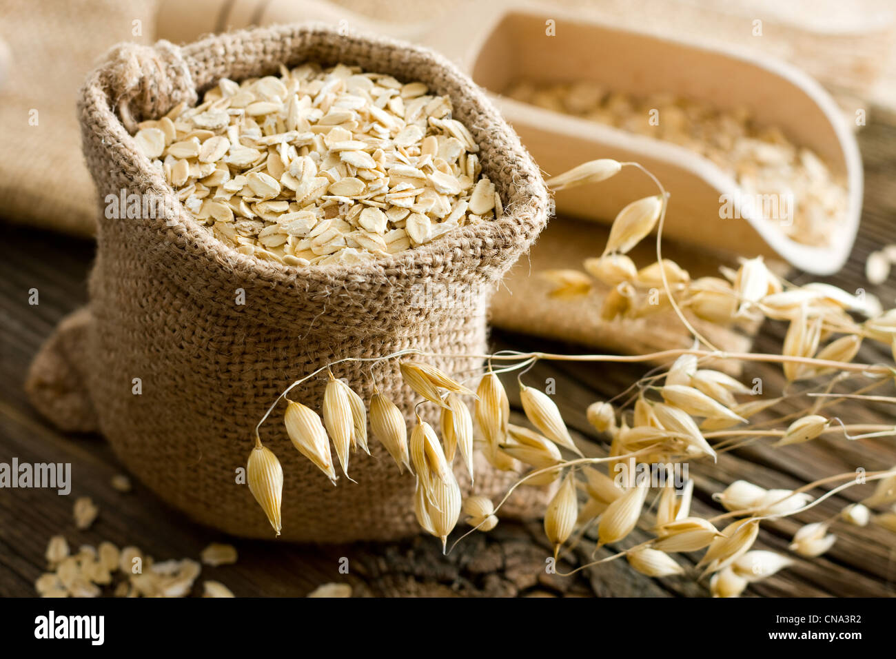 Ear of oatmeal hi-res stock photography and images - Alamy
