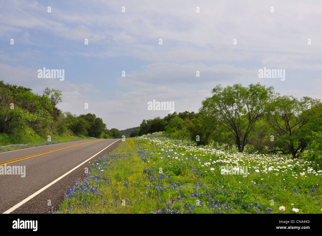 Scenic road and bluebonnets, Texas, USA Stock Photo - Alamy