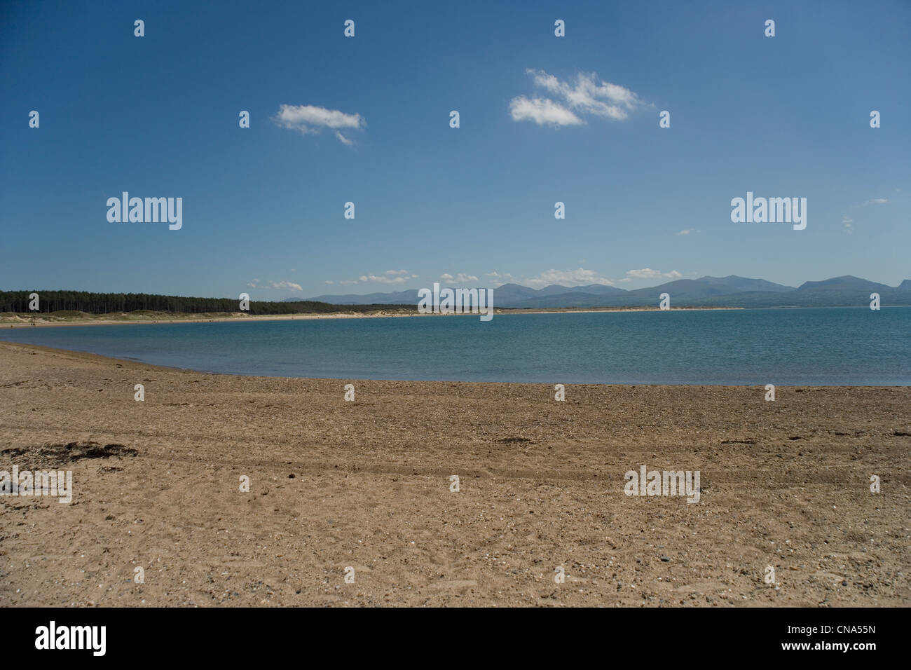 Newborough forest from the beach at Traeth Llanddwyn on Anglesey Stock ...