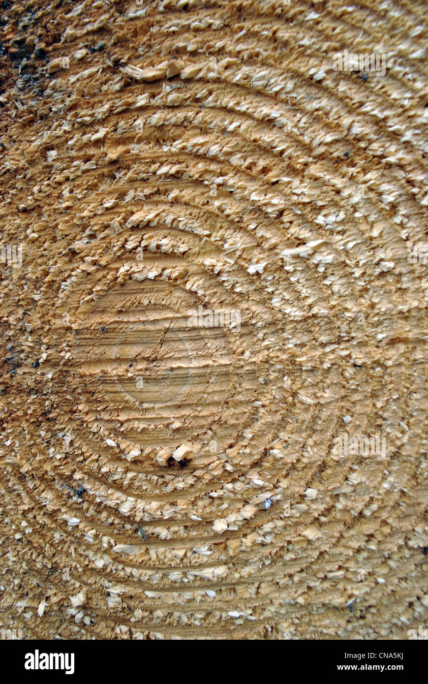 Scottish timber hi-res stock photography and images - Alamy