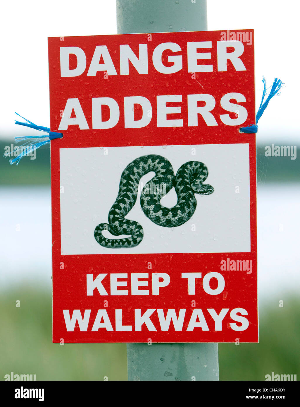Adder Warning Sign Stock Photos & Adder Warning Sign Stock Images - Alamy