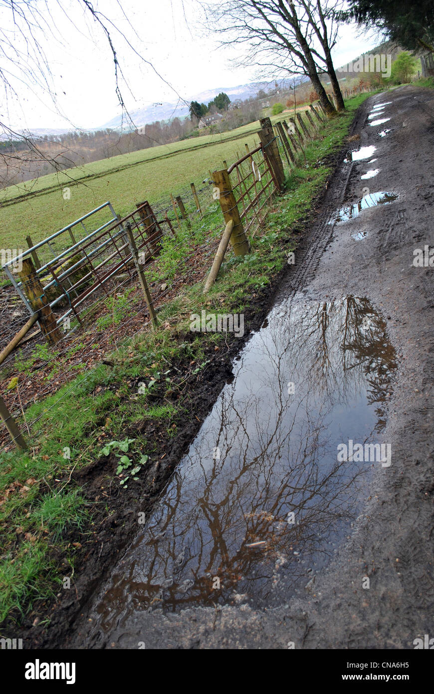 Reflections in puddles hi-res stock photography and images - Alamy