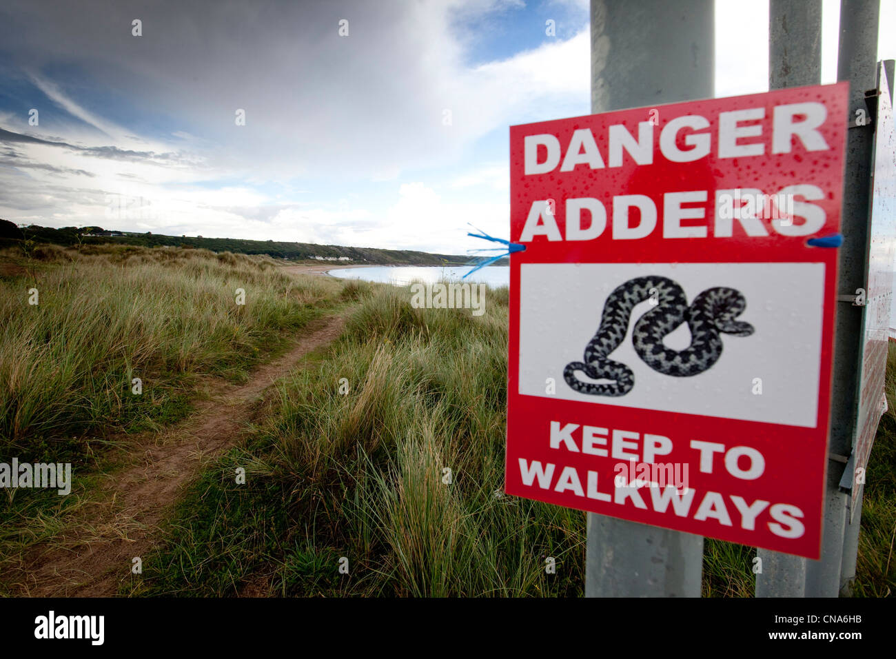 Adder Sign Stock Photos & Adder Sign Stock Images - Alamy