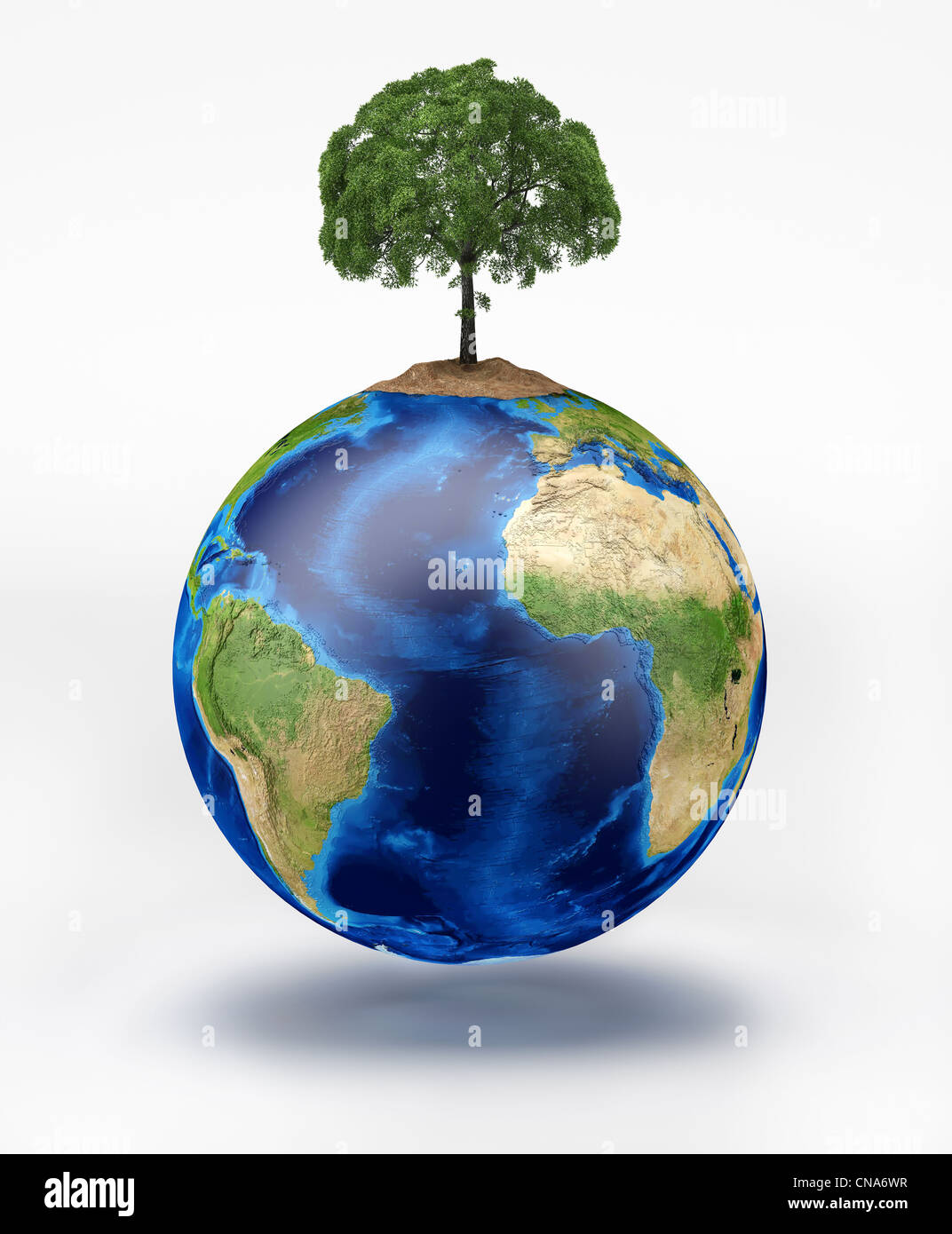 Planet earth with a tree on top. On white background Stock Photo - Alamy