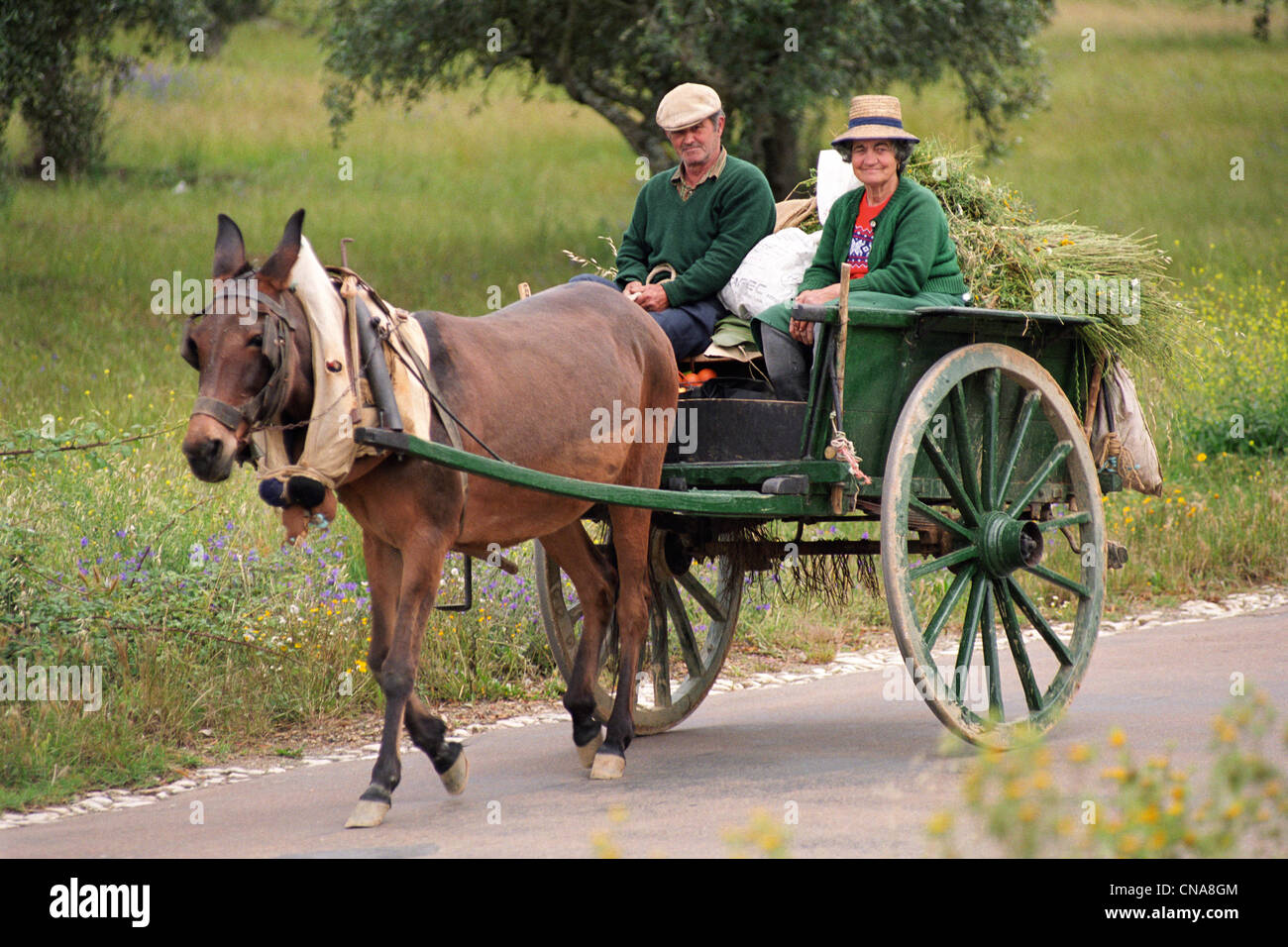 Portugal, Alentejo region, Portugese couple of old farmers in a cart ...