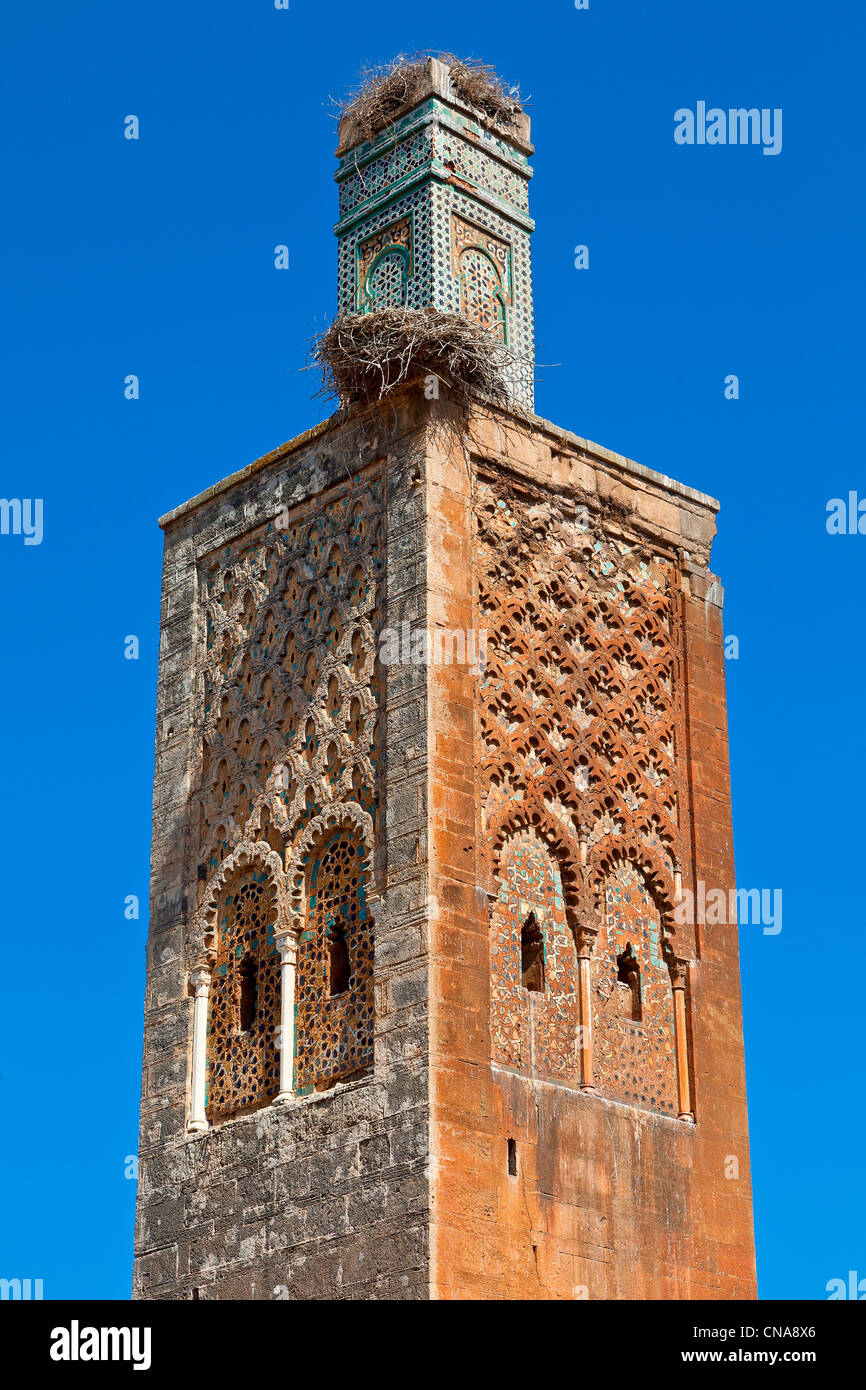 Morocco, Rabat, mosque in the old Muslim shrine of Chellah Stock Photo ...