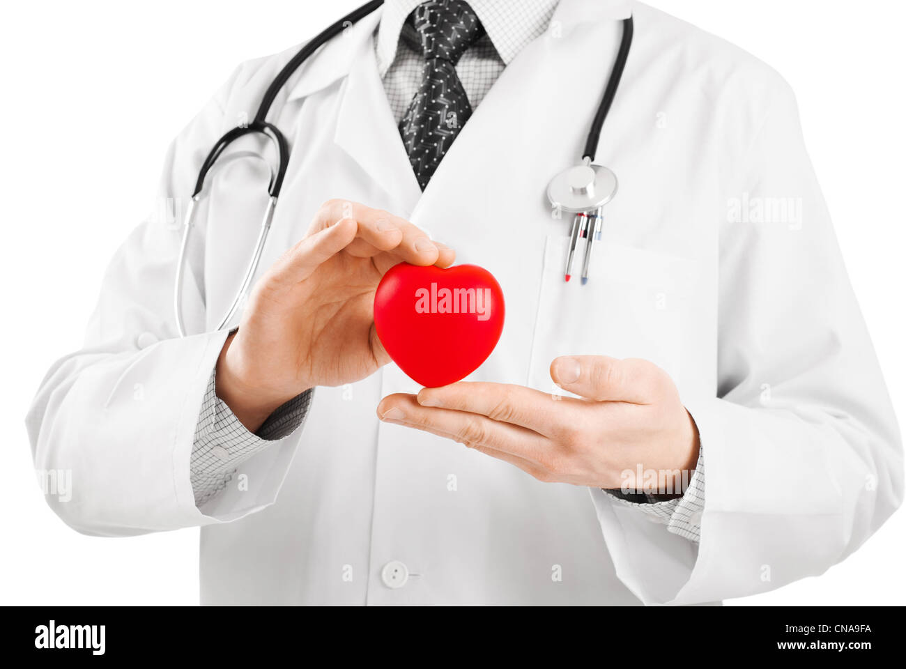 Doctor with stethoscope holding heart in his hands - studio shot Stock ...