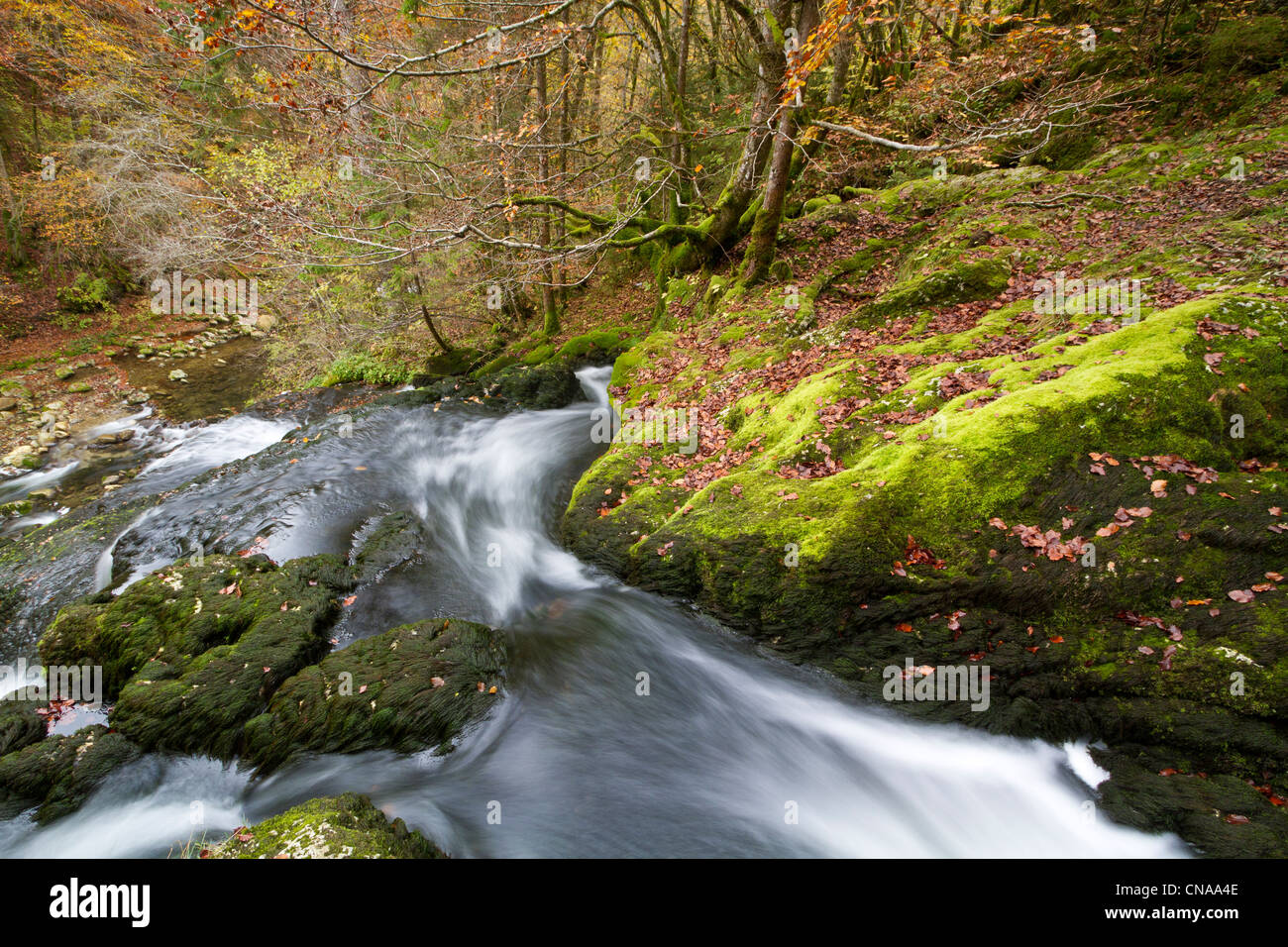 France, Savoie, Parc Naturel Regional du Massif des Bauges (Natural ...