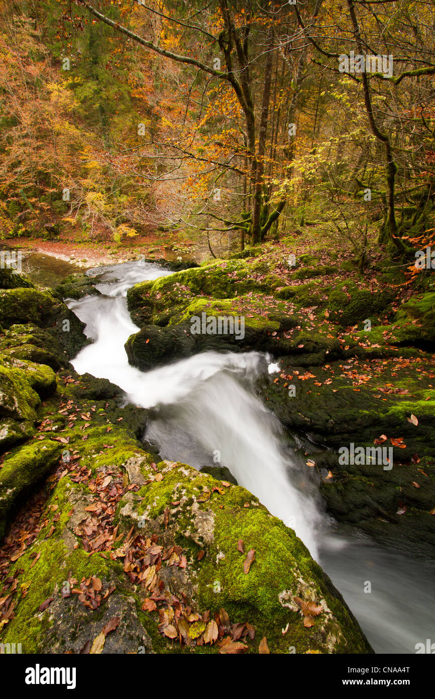 France, Savoie, Parc Naturel Regional du Massif des Bauges (Natural ...