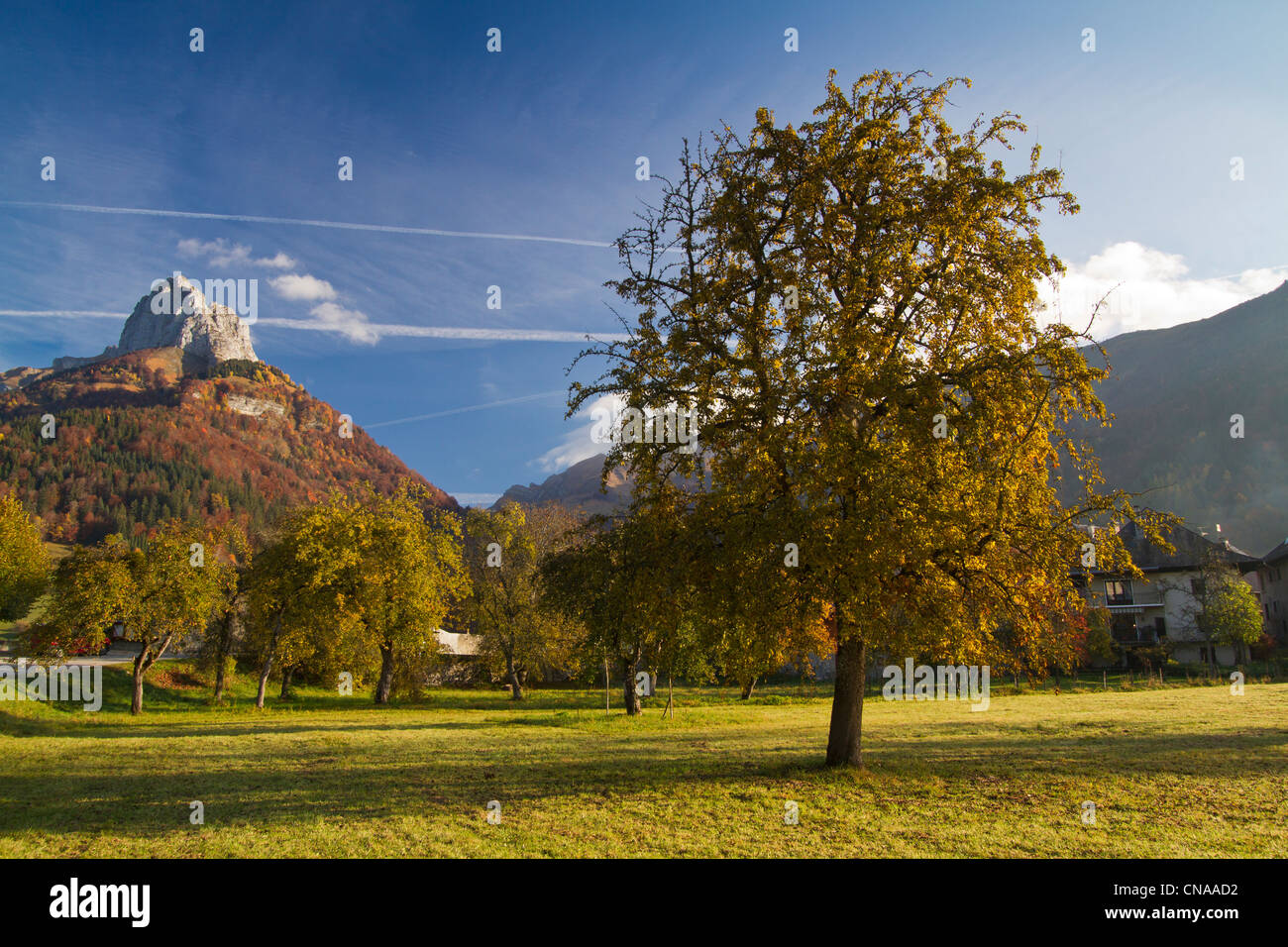 Parc naturel regional du massif des bauges hi-res stock photography and ...