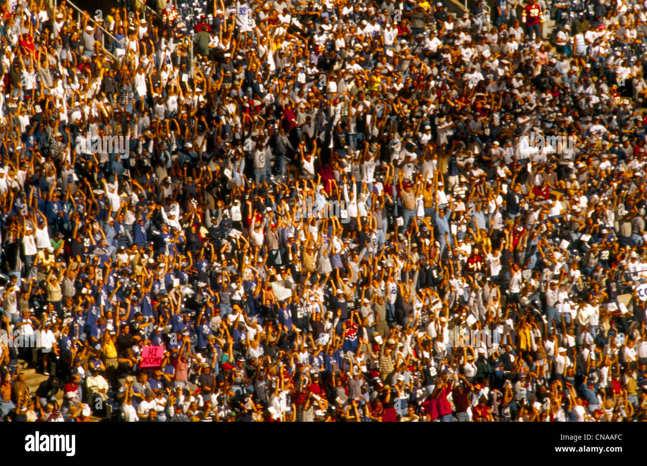 Sports Stadium Mexican Wave at Sandra Slavin blog