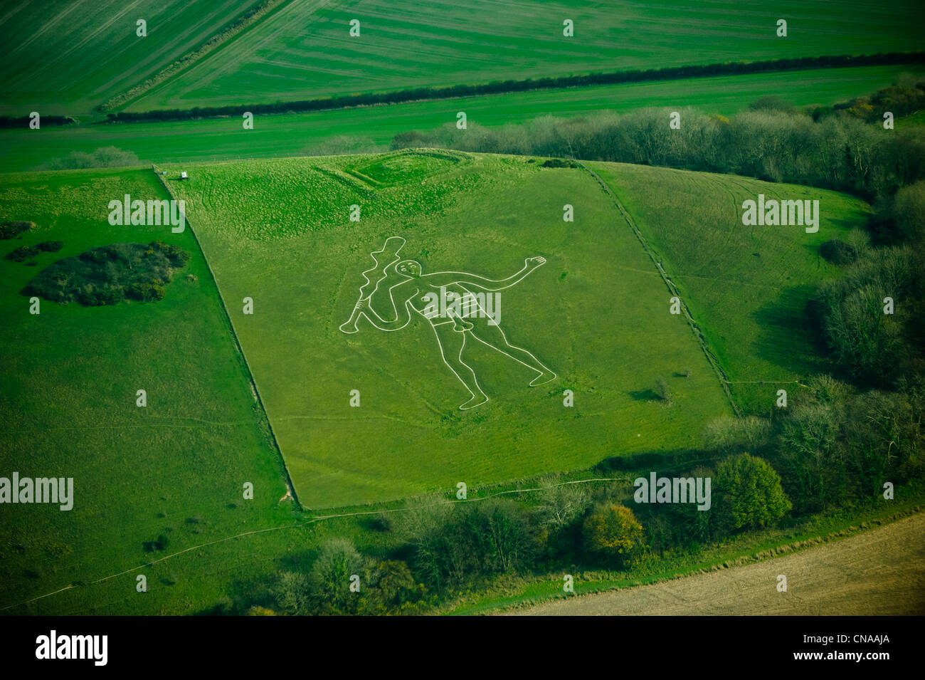 Aerial pictures of the Cerne Abbas Giant in west Dorset, England Stock ...