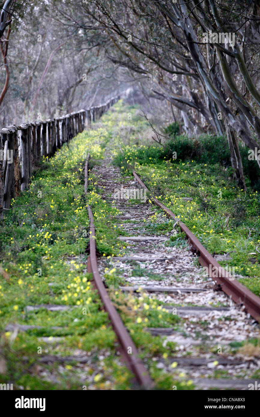 Overgrown railway track hi-res stock photography and images - Alamy
