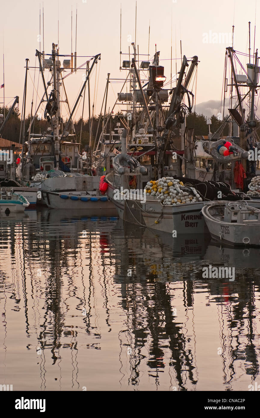 Pacific herring sac roe fishery hi-res stock photography and images - Alamy