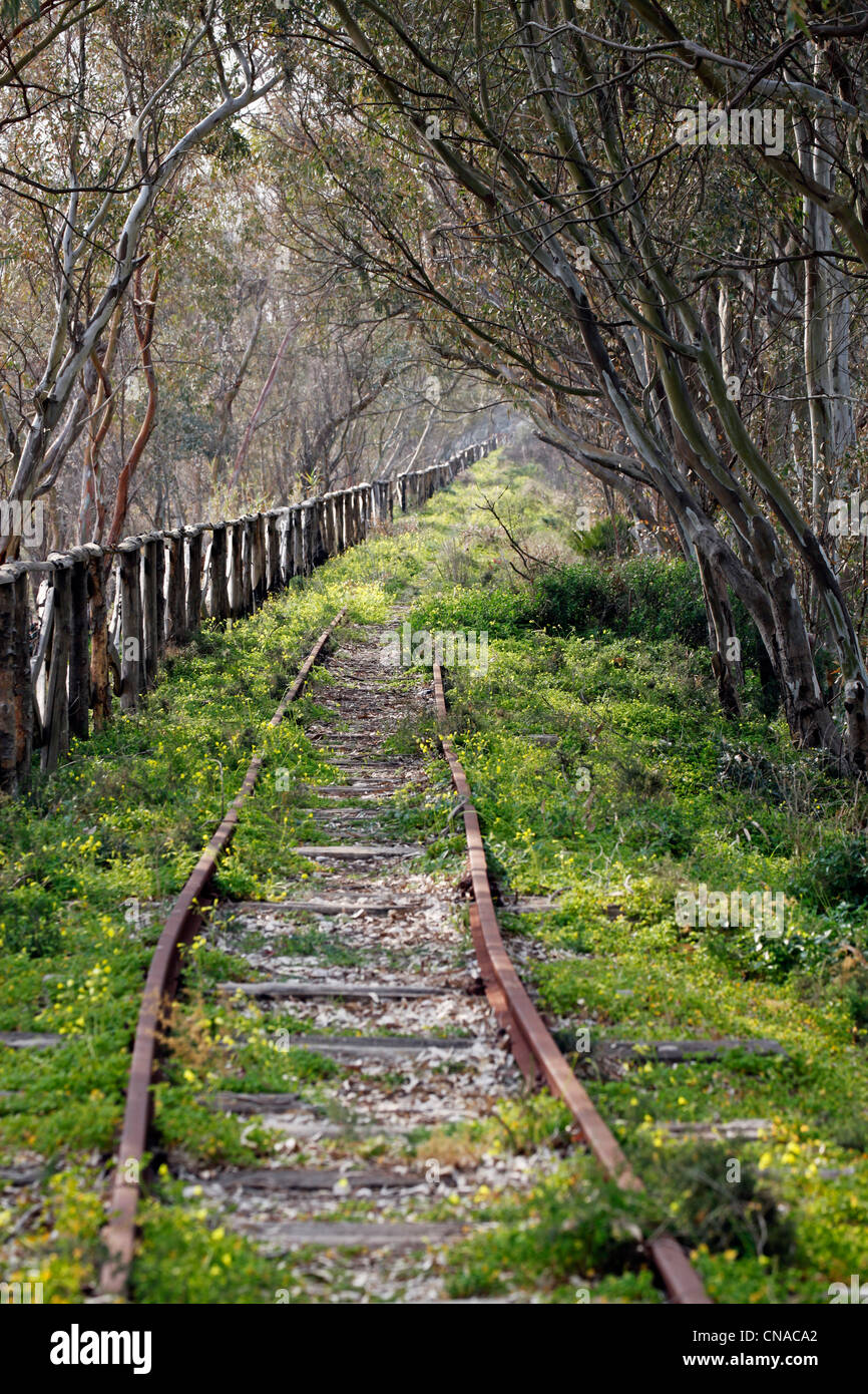 Overgrown railway track hi-res stock photography and images - Alamy