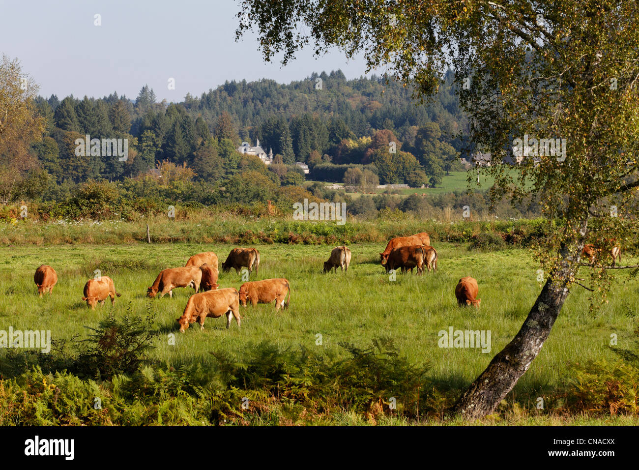 Parc naturel regional de millevaches en limousin hi-res stock photography and images - Alamy