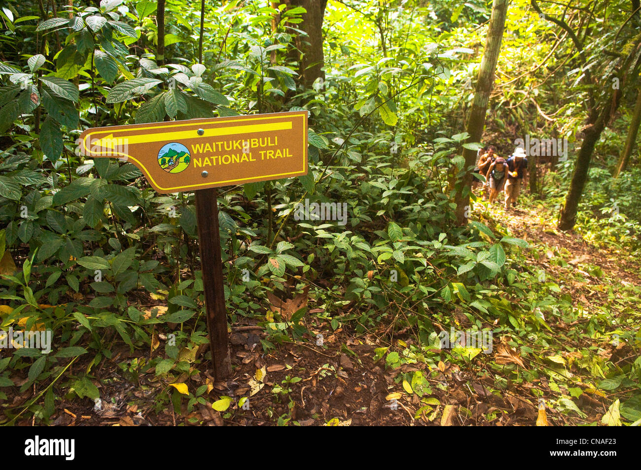 Dominica waitukubuli national trail hi-res stock photography and images ...