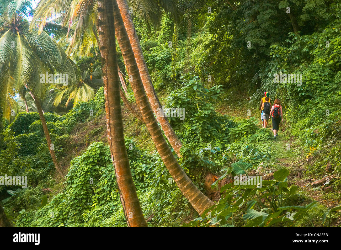 Waitukubuli trail hi-res stock photography and images - Alamy