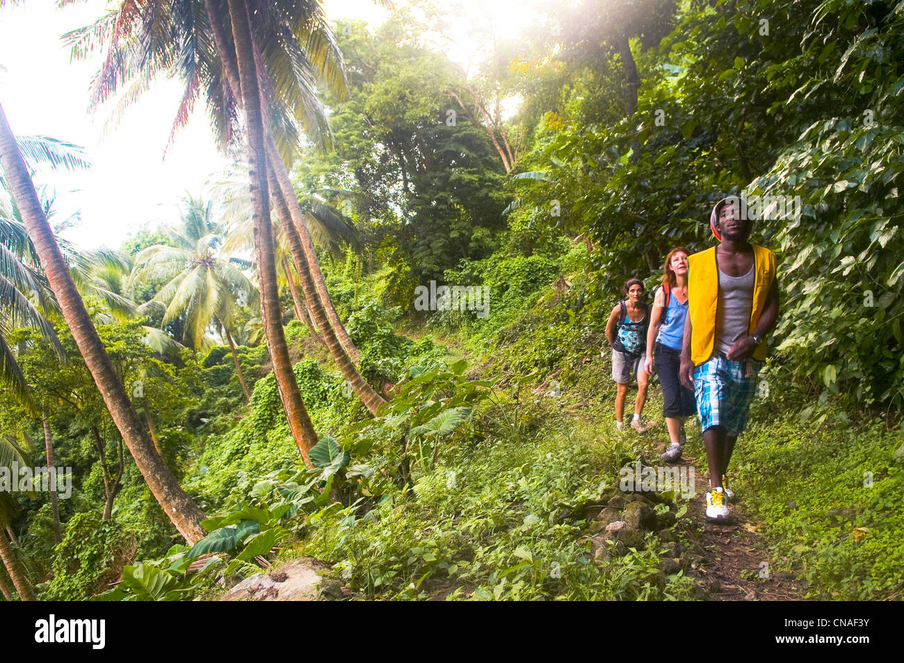 Waitukubuli trail hi-res stock photography and images - Alamy