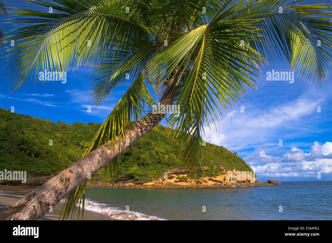 Dominica High Resolution Stock Photography and Images - Alamy