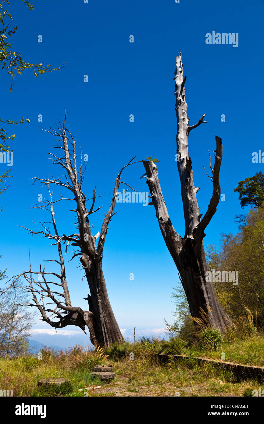 Tataka hi-res stock photography and images - Alamy