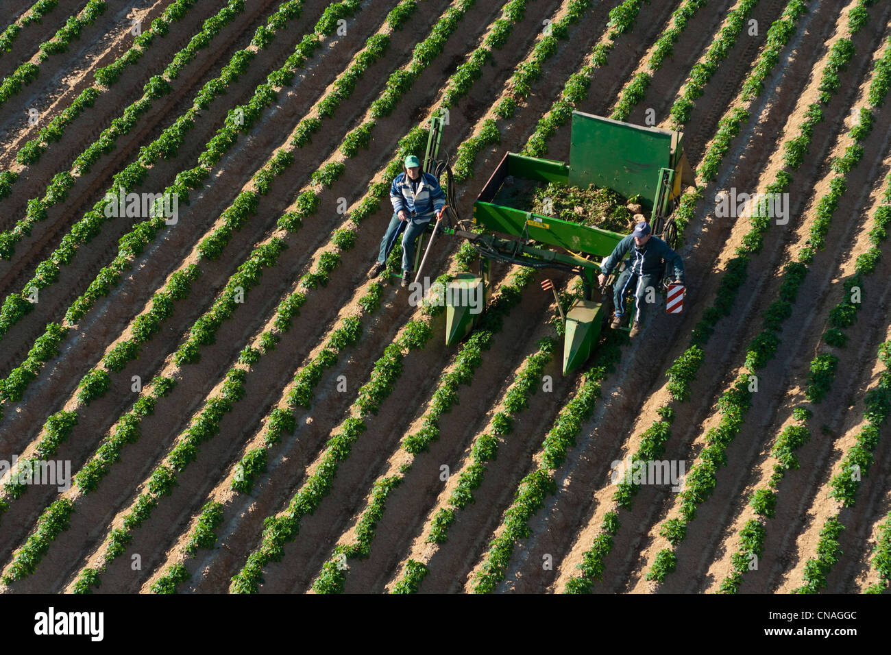 France, Eure, Vesly, culture of potato (aerial view Stock Photo - Alamy