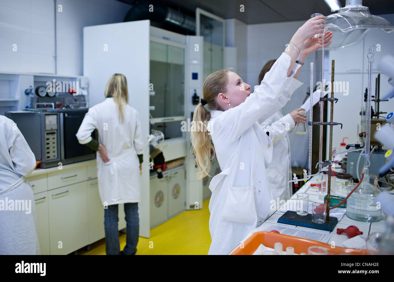 portrait of a female researcher carrying out research in a chemistry ...